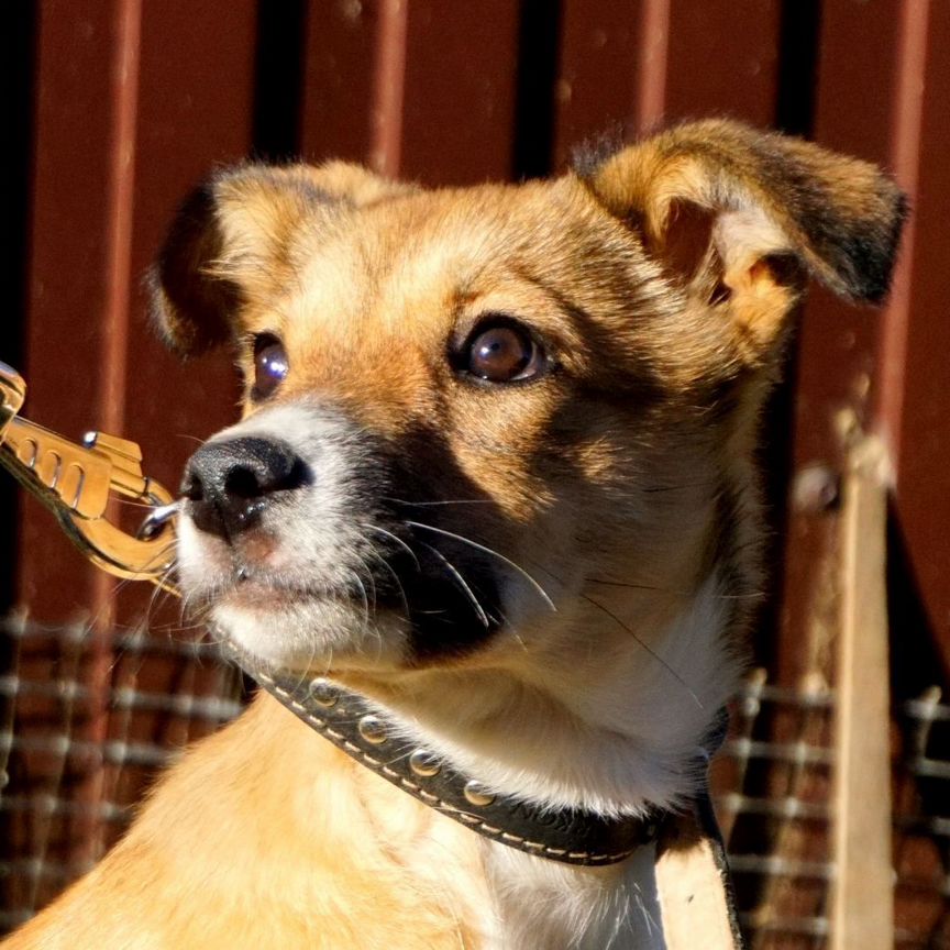 Класнуля готова к новому дому