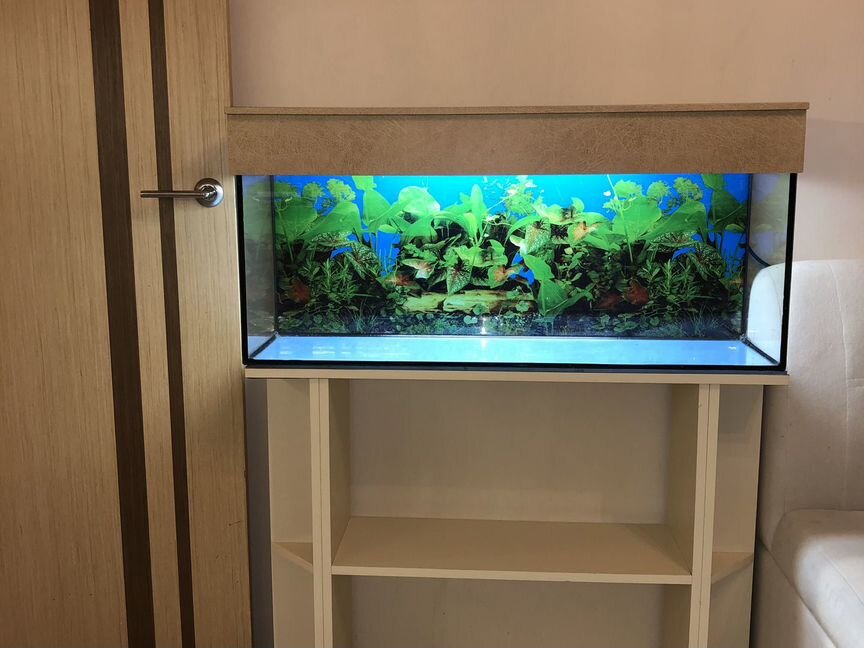 Аквариум 77 л. с тумбой б/у и крышкой +16 кг грунт