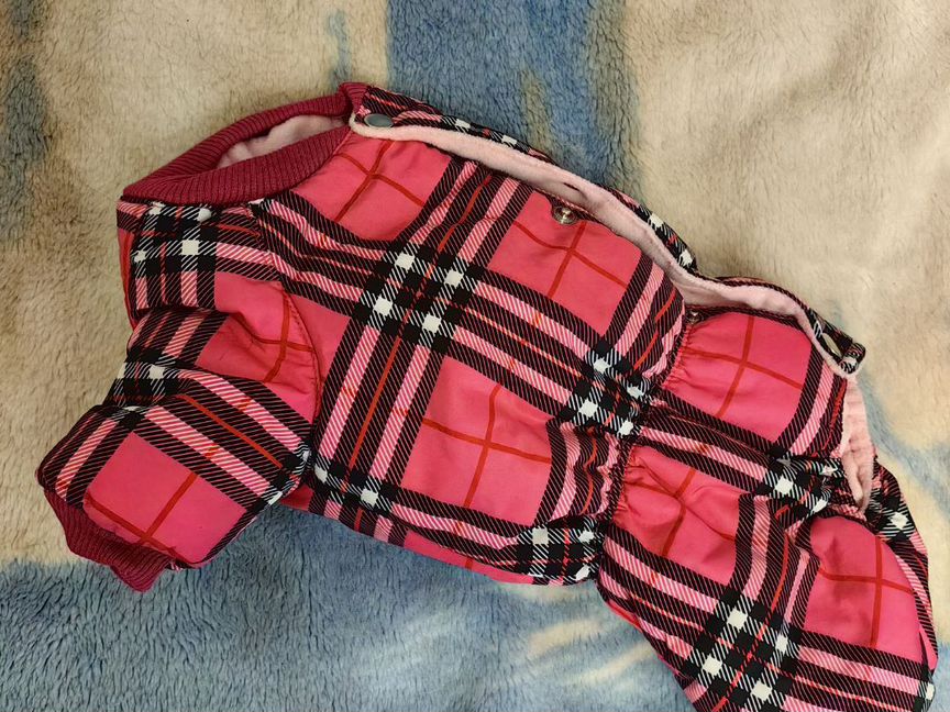 Одежда для маленьких собак