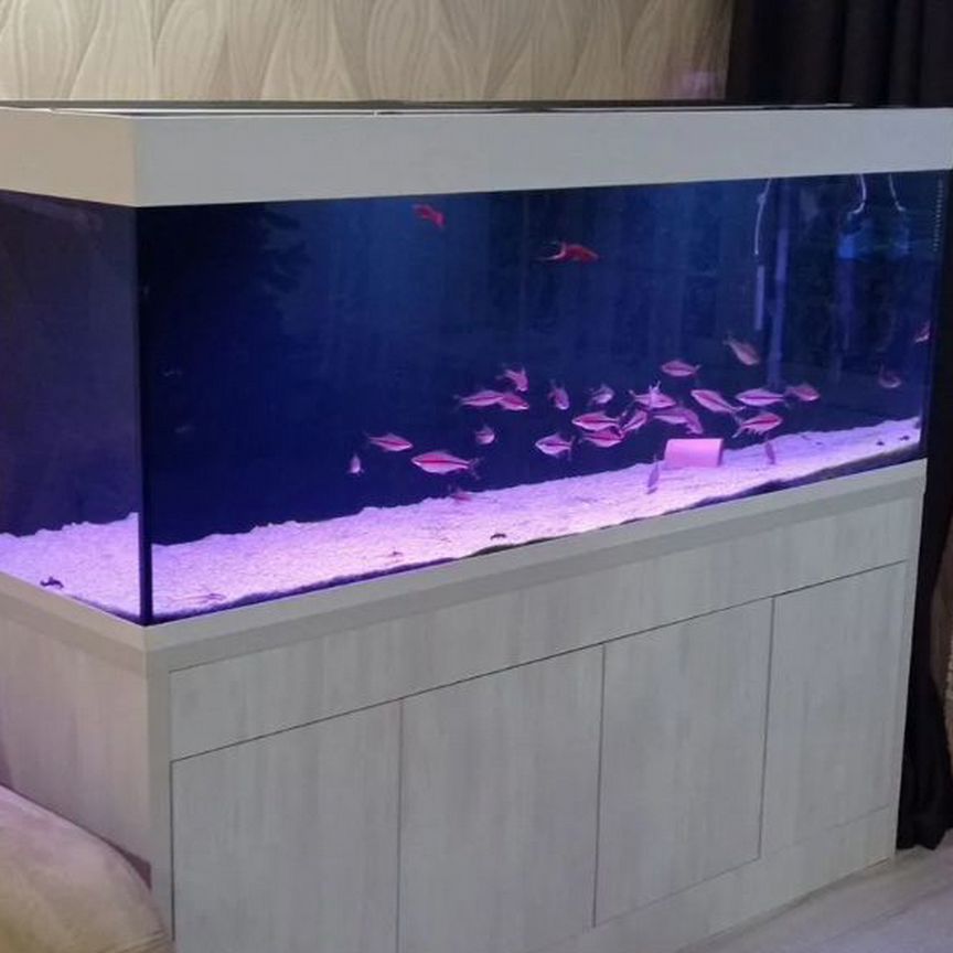 Аквариум с рыбками 560л(с фильтром)   доставка