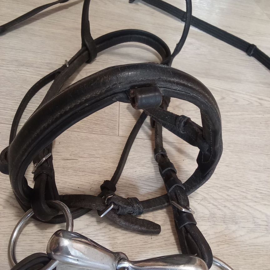 Уздечка на пони