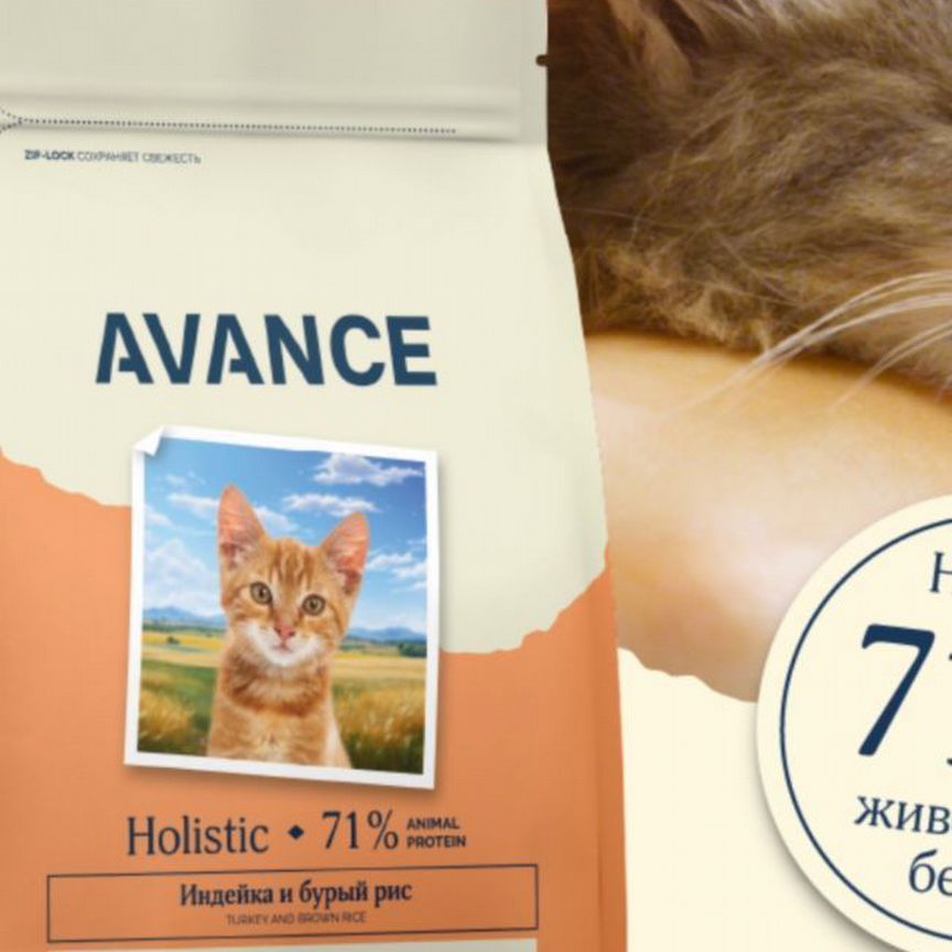 Сухой корм для котят Avance 5кг