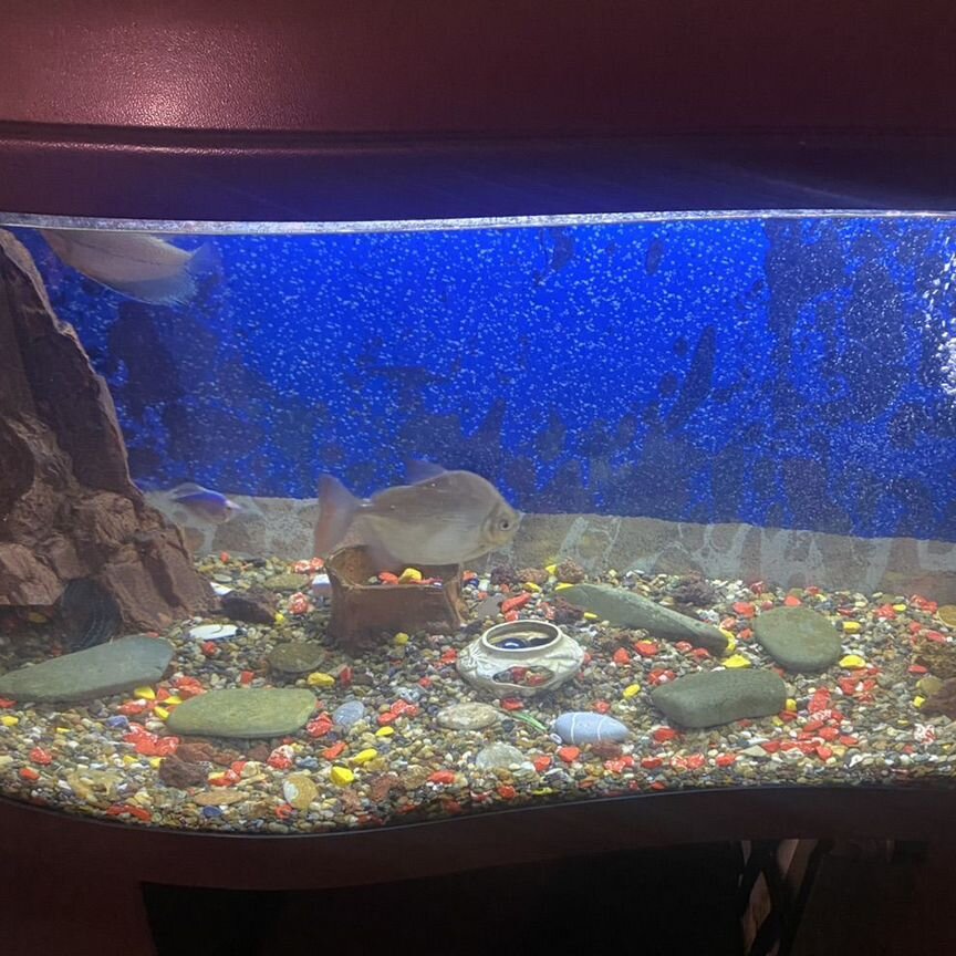 Аквариум с тумбой