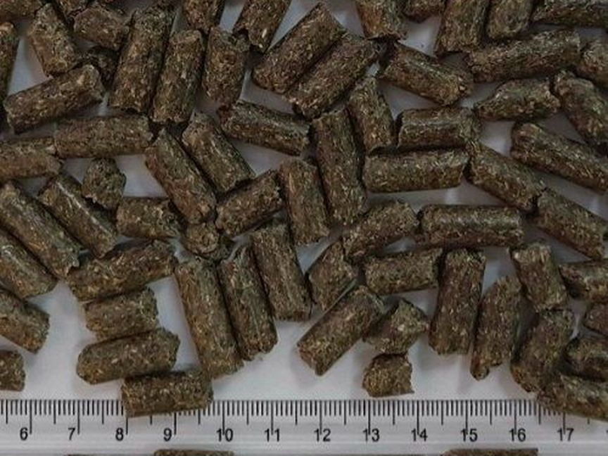 Шрот подслонечый 36 гост протеин с доставкой