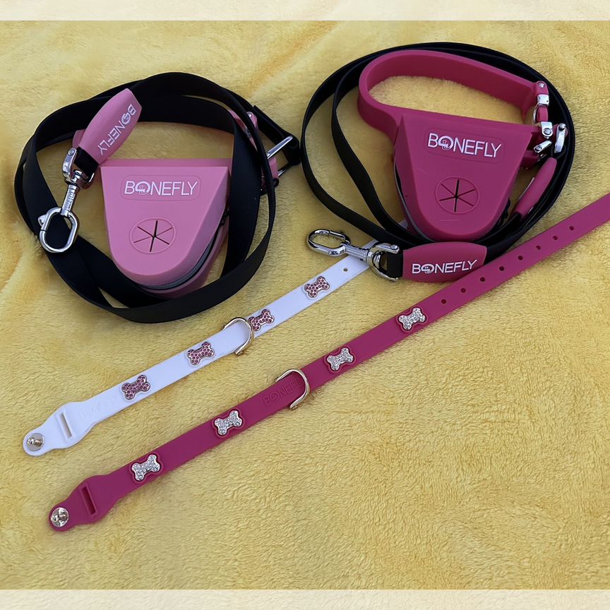 Bonefly Поводок и ошейник