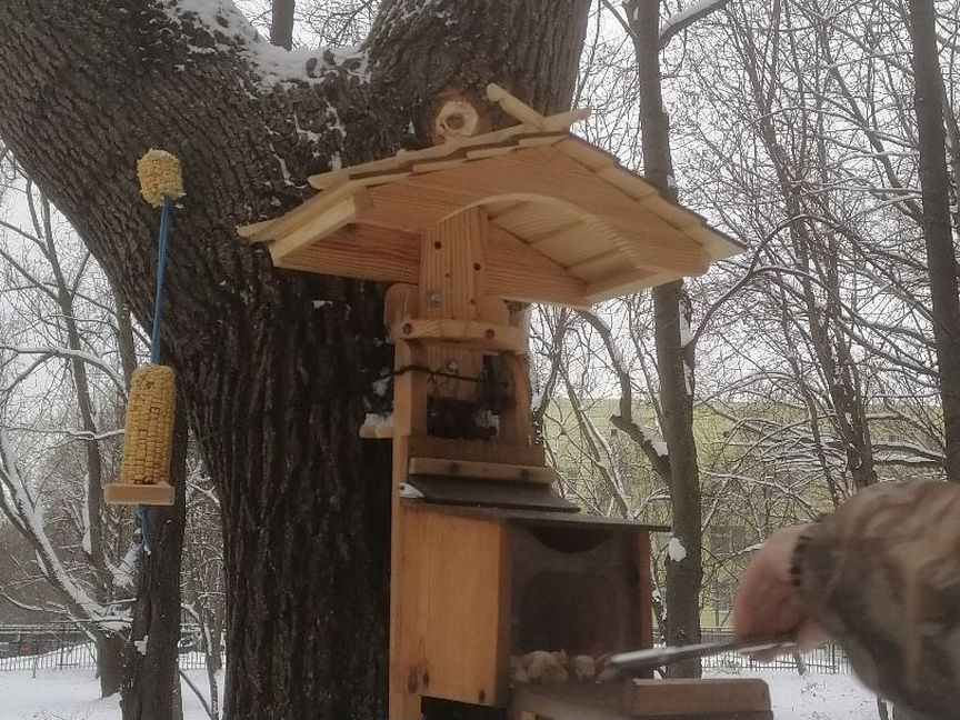 Кормушка для белок и птиц