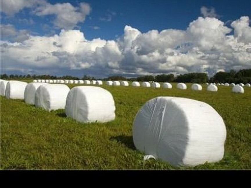 Корм для лошадей