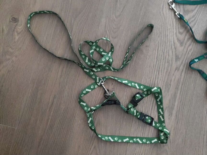 Шлейка и поводок