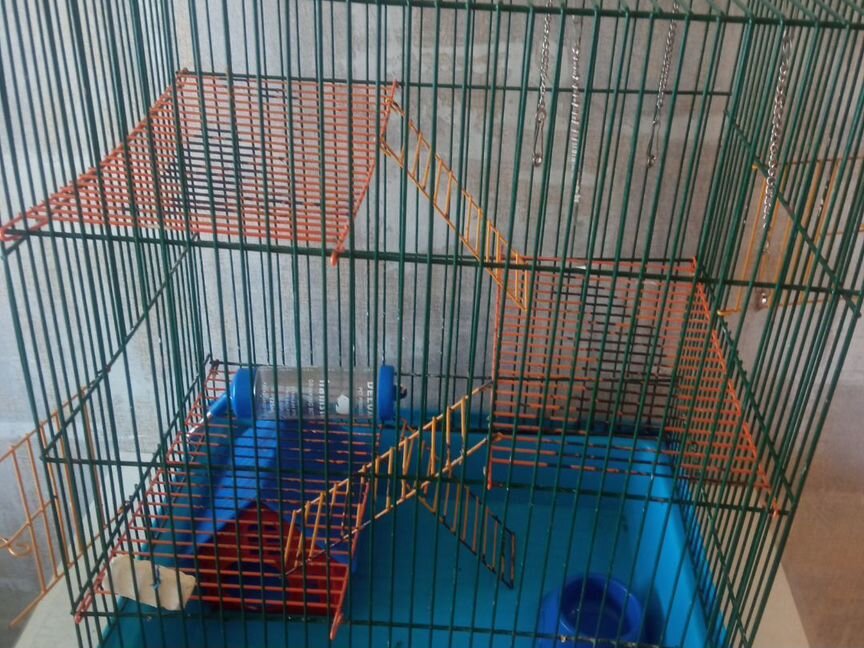 Клетка для грызунов крыс