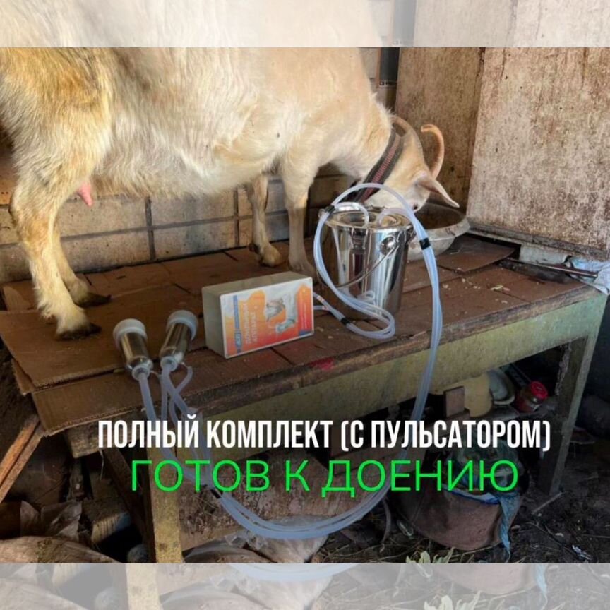 Доильный аппарат для коз, есть рассрочка
