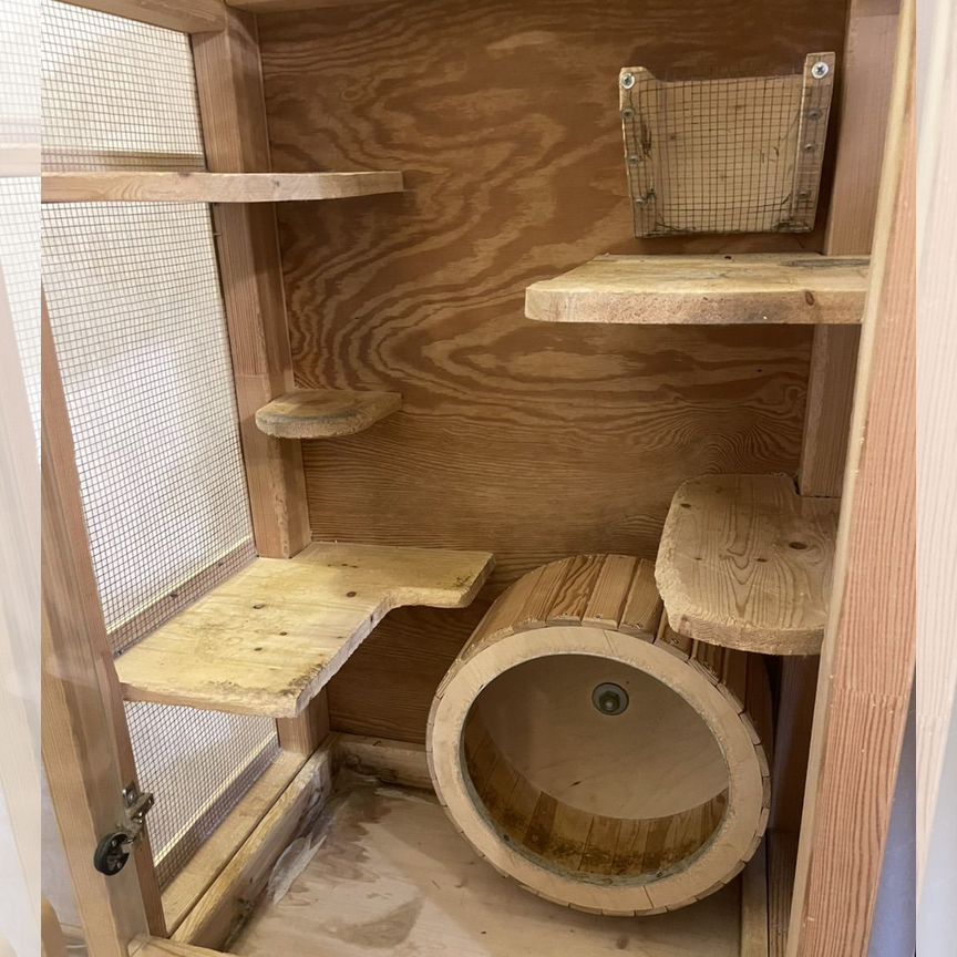 Витрина для шиншилл бу