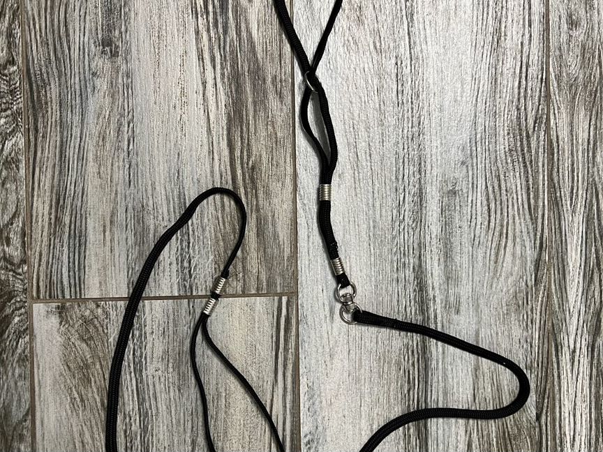 Ринговка для собак