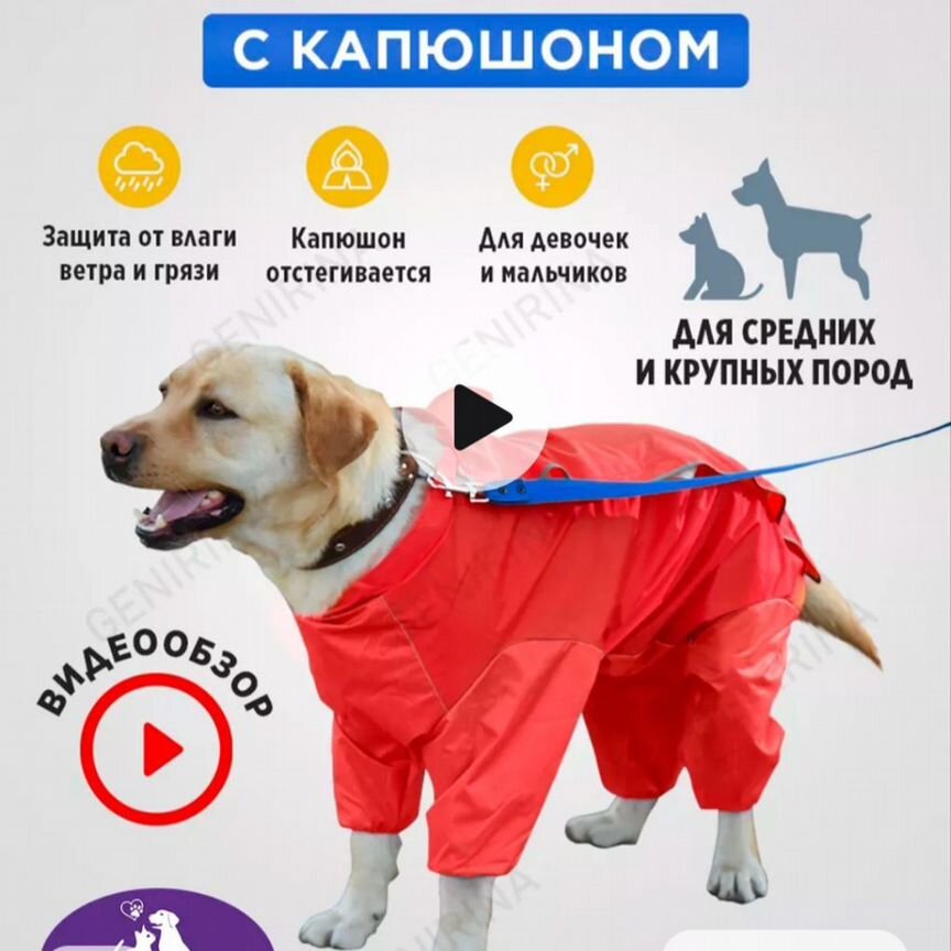Комбинезон дождевик с капюшоном для средних пород