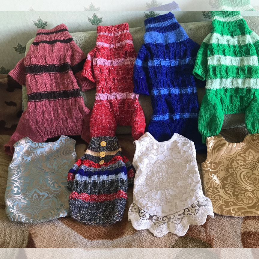 Одежда для животных