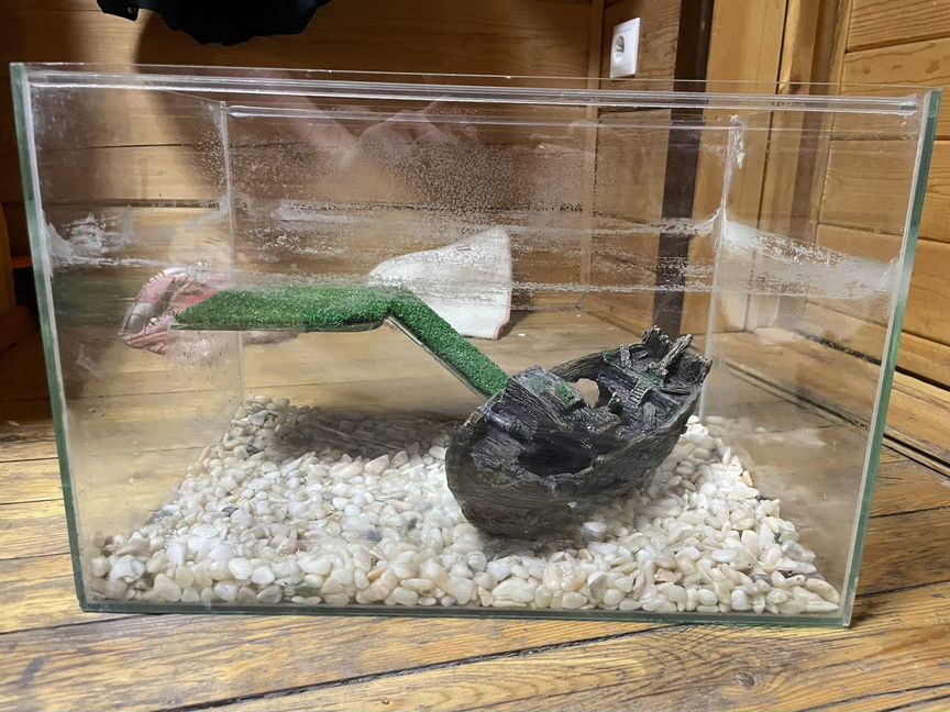 Аквариум террариум