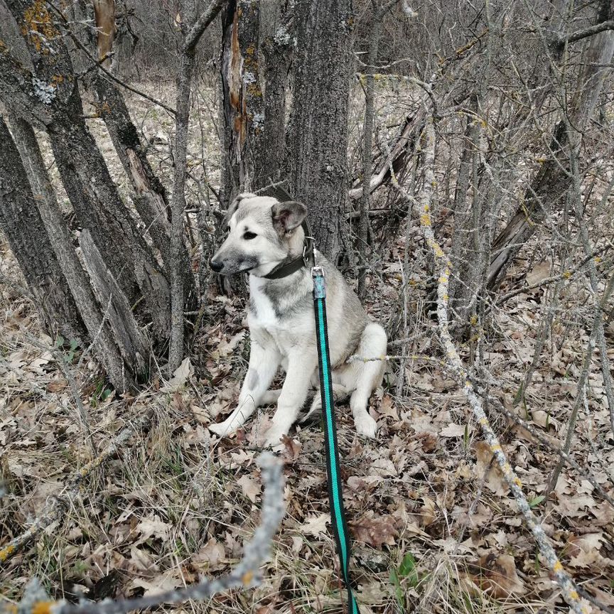 Кабелёк в добрые ручки