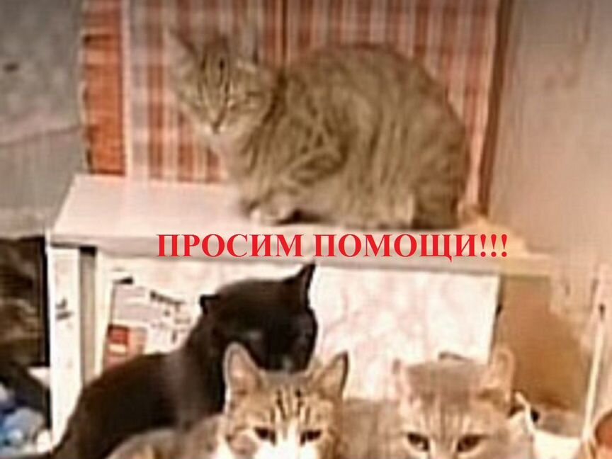 Добрые люди, помогите