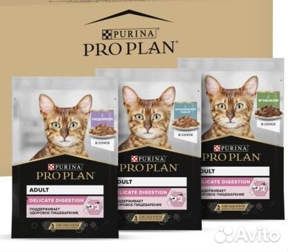 Влажный корм purina pro plan для кошек, котят купить в Москве ...
