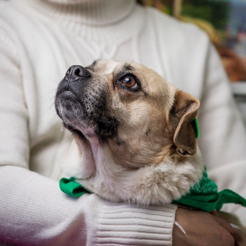 Ванильная плюшечная Марта