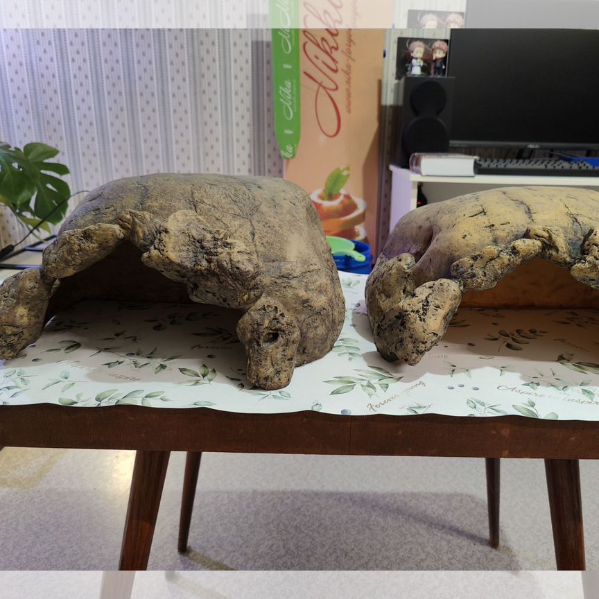 Укрытия, поилки Exo Terra