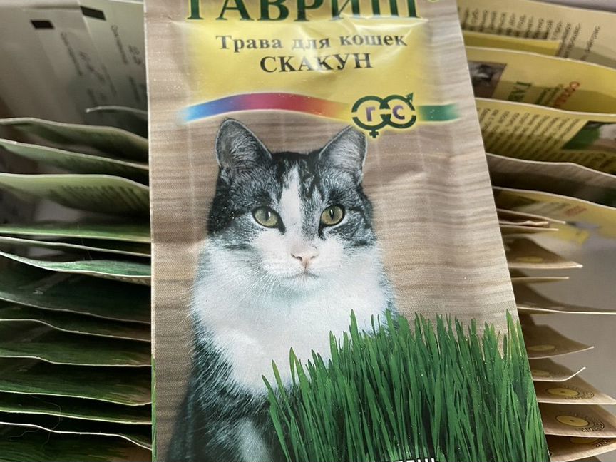 Гавриш Скакун трава для кошек, кошачья, за все