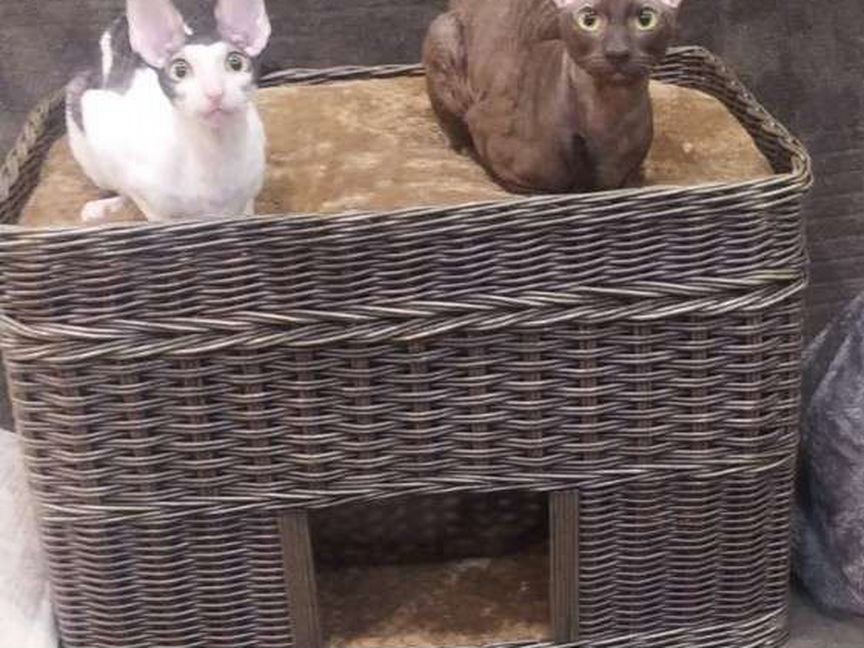 Домик для кошки