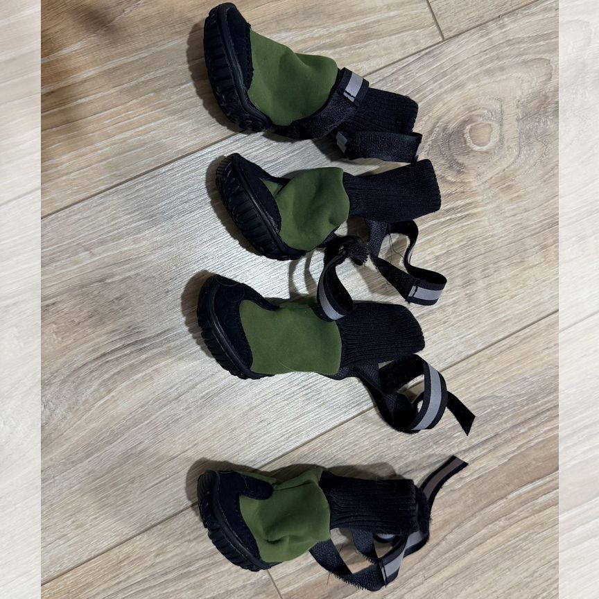 Ботинки для собак