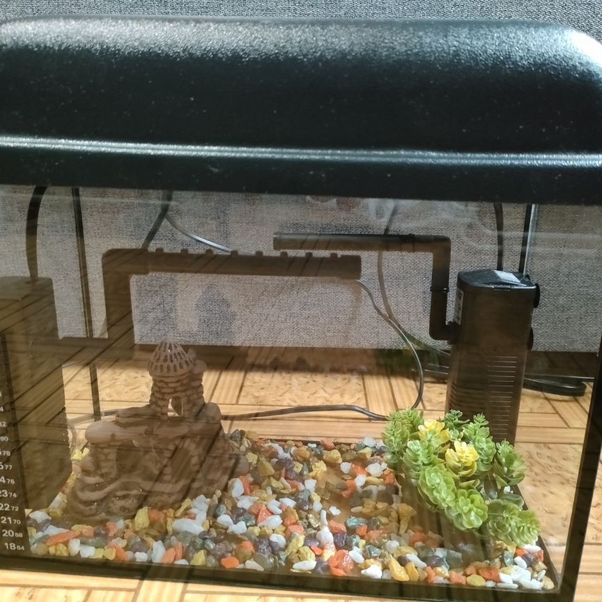 Аквариум 10 литров