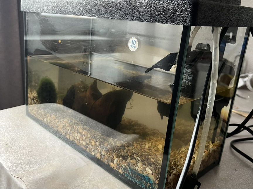 Аквариум 10 литров