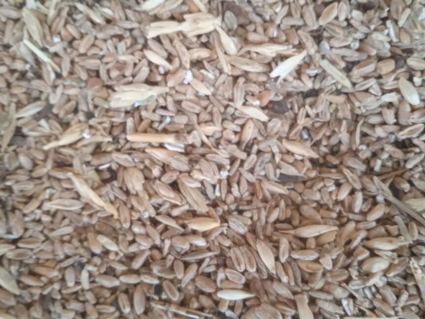 Корма для сельскохозяйственных животных