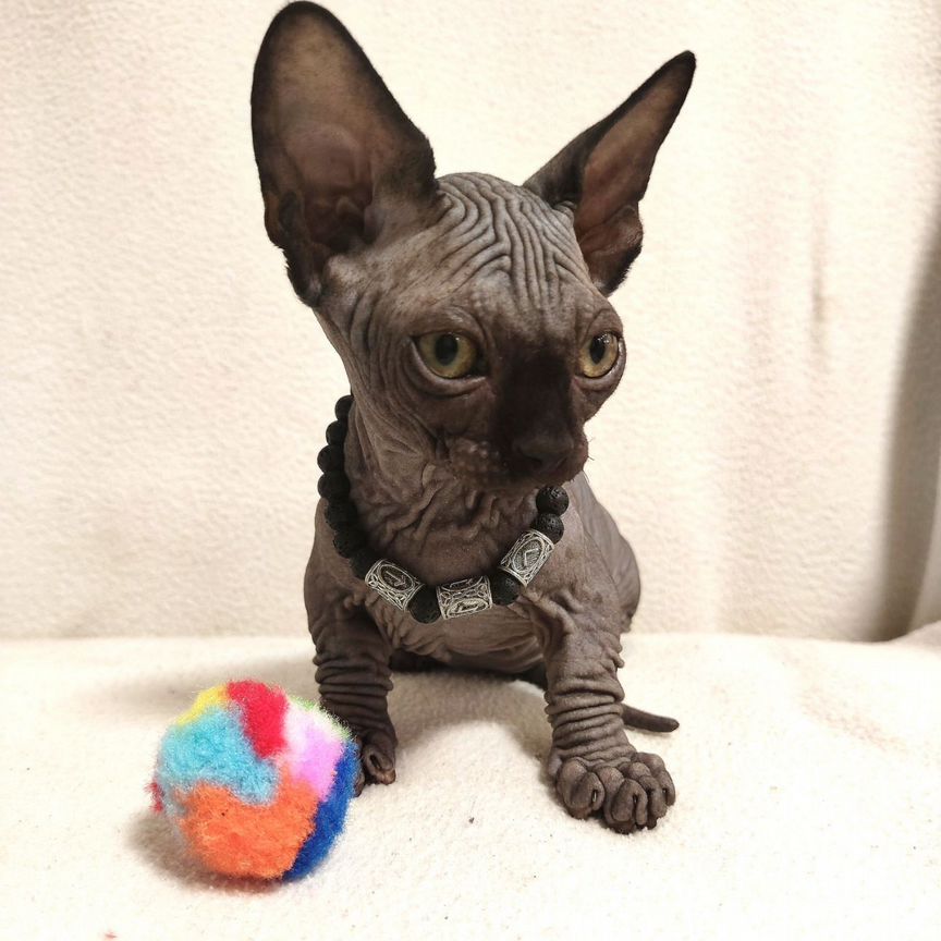 Парнишка бамбино