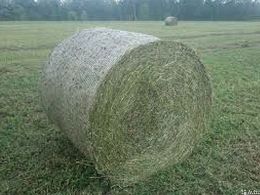 Сено разнотравье