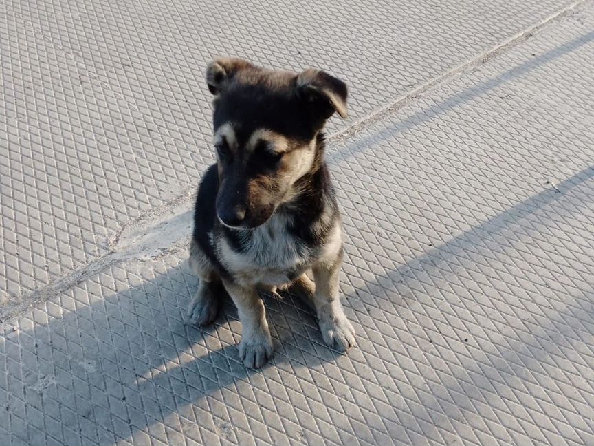 Умная, добрая игруля