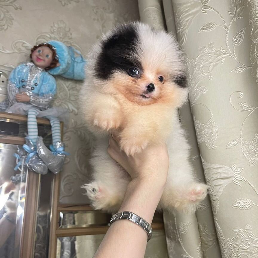 Мини патики