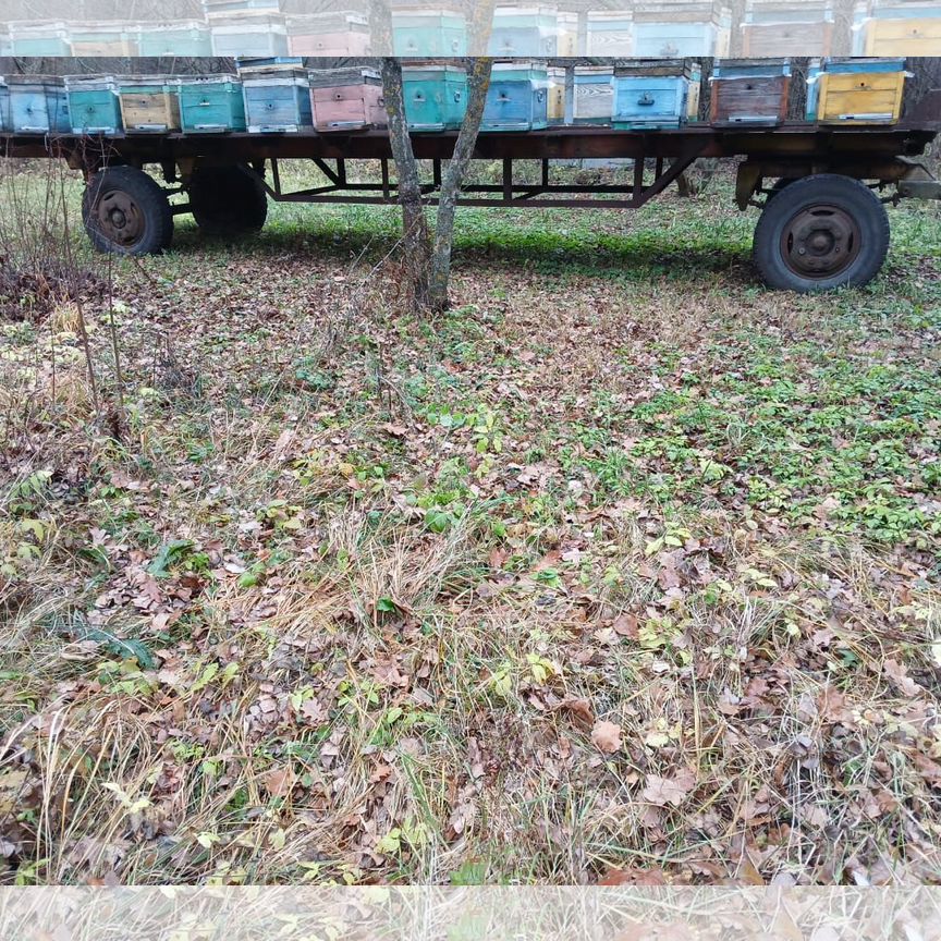 Платформа для пчёл