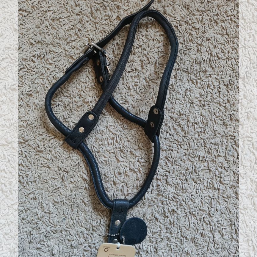 Шлейка для собаки Collar