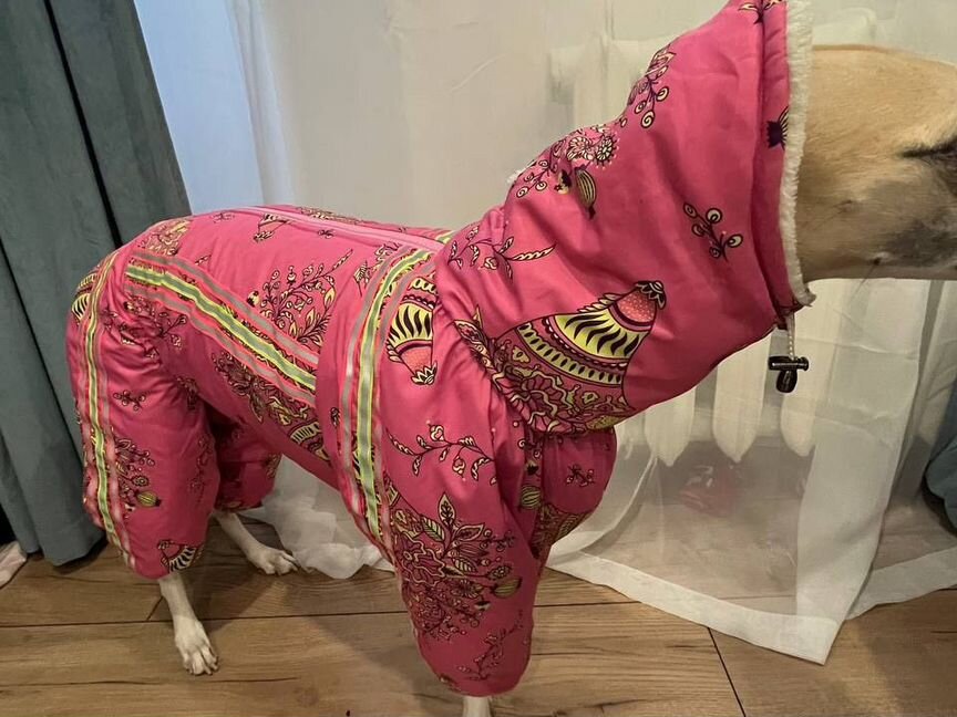 Зимний комбинезон на уиппета