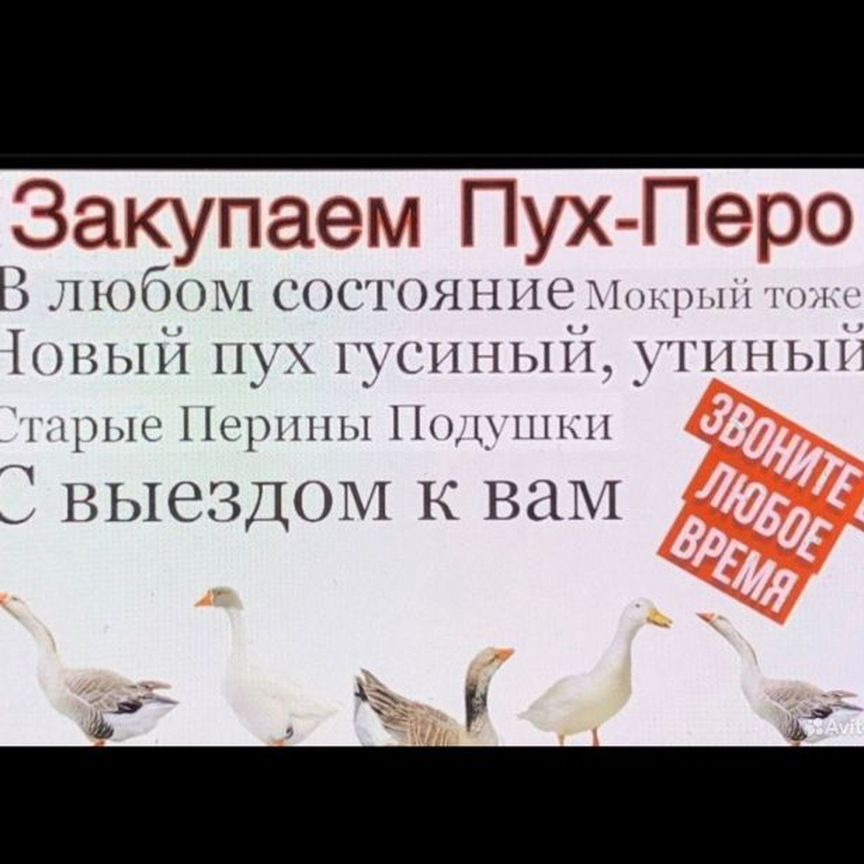 Пух перо