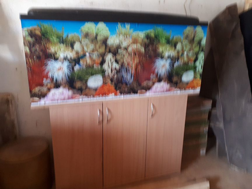 Аквариум