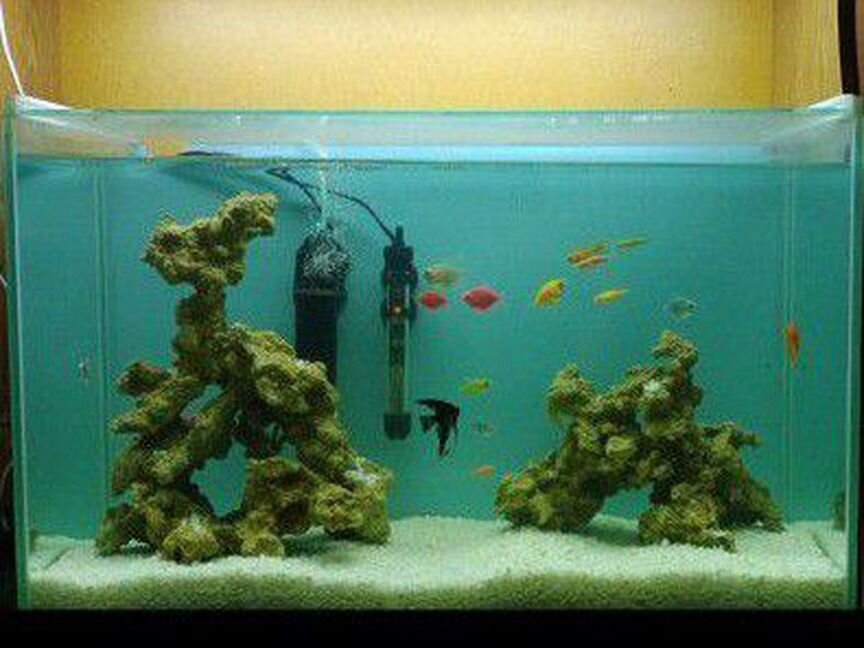 Аквариум террариум