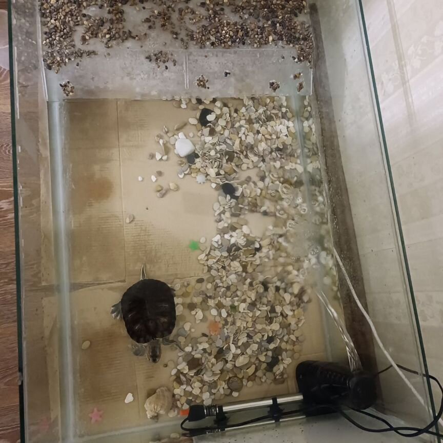 Аквариум для черепах