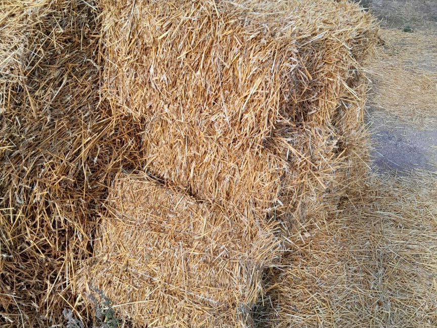 Солома в тюках