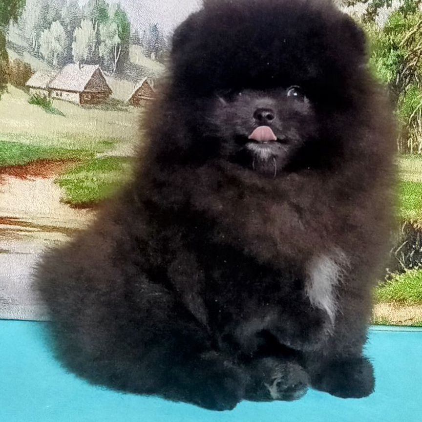 Чёрный рыцарь