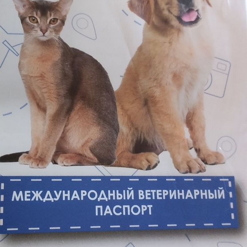 Ветпаспорт, установка чипа