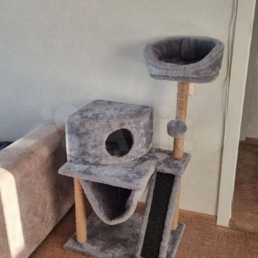 Когтеточка с гамаком