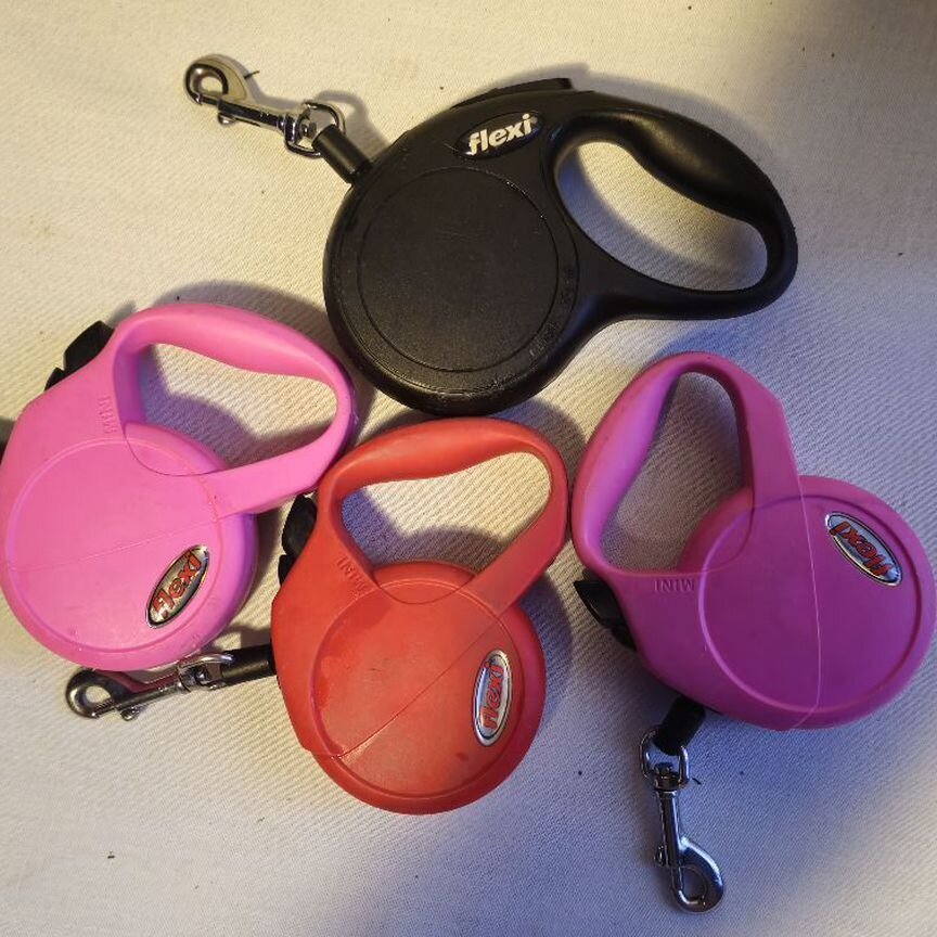 Поводки для маленьких собачек