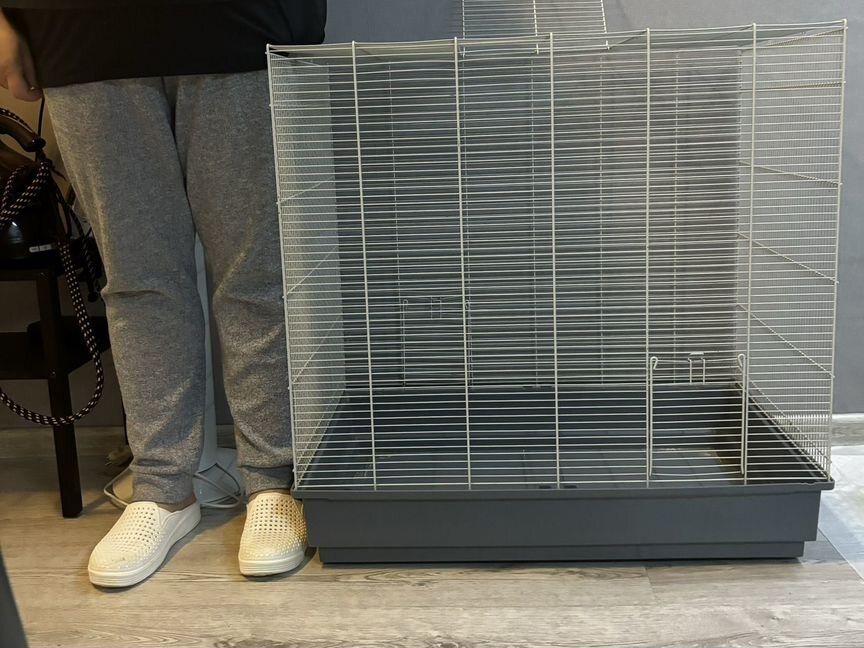 Огромная клетка