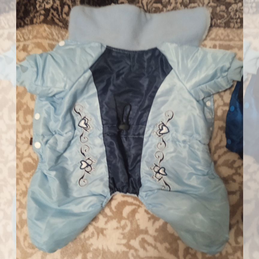 Костюм для собаки