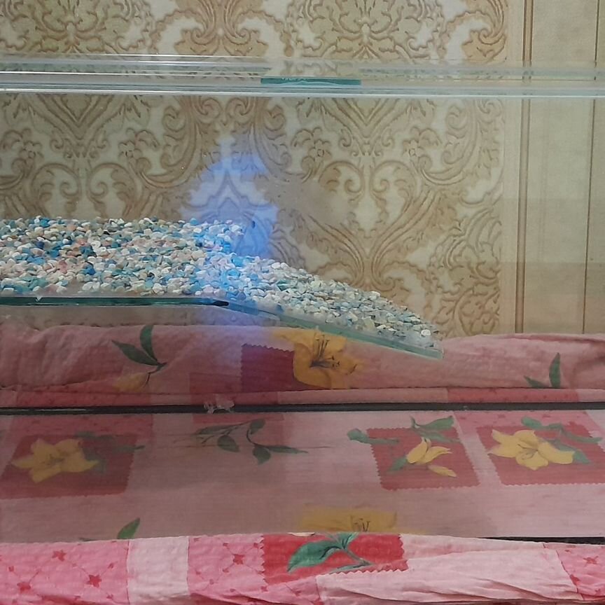 Аквариум Террариум