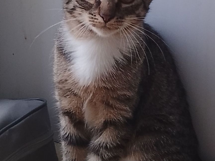 Красавица малышка